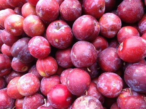 Plums (small size and sweet)($2 per Lb) – Alondra's Produce